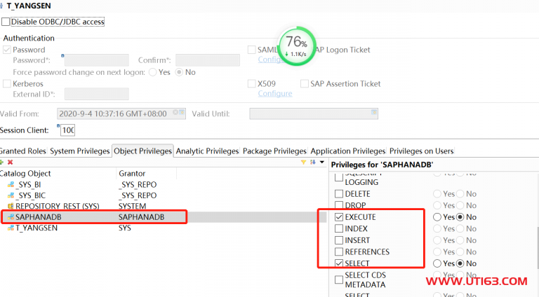 SAP HANA开发人员需要的权限 | 优通SAP